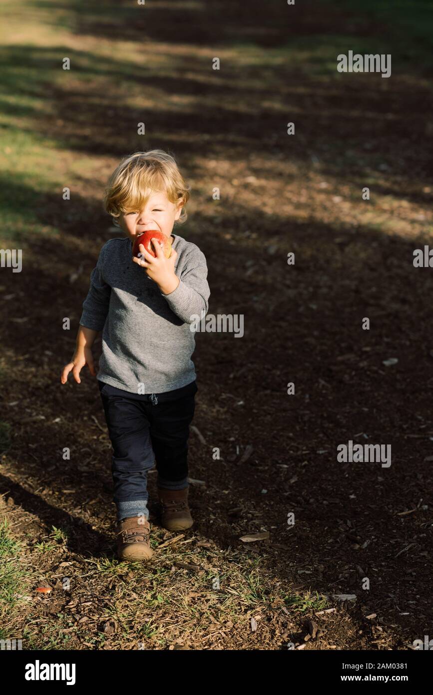 Kids eating apples orchard hi-res stock photography and images - Alamy