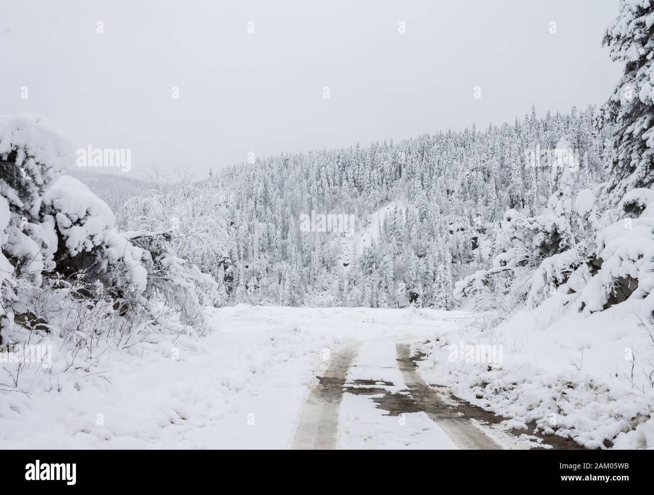 Vorkuta hi-res stock photography and images - Alamy