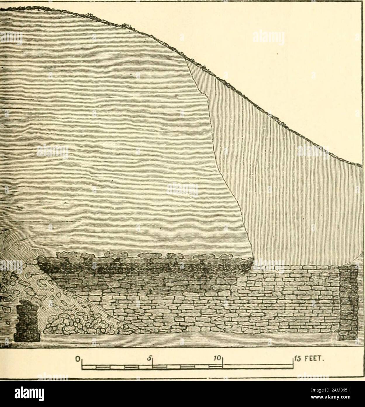 Dromiskin hi-res stock photography and images - Alamy