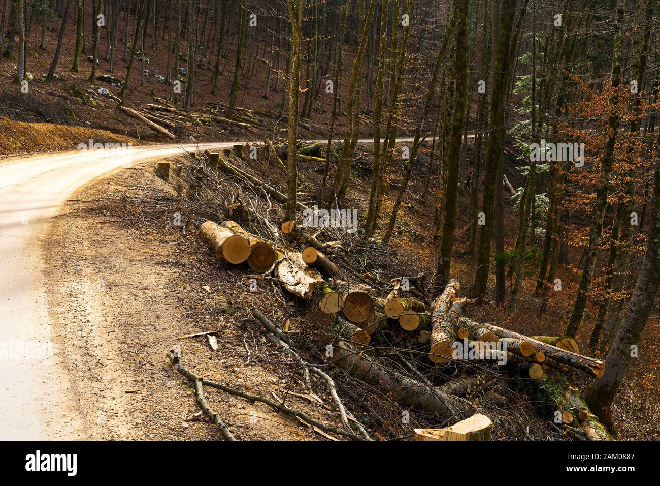 Making a car hi-res stock photography and images - Alamy