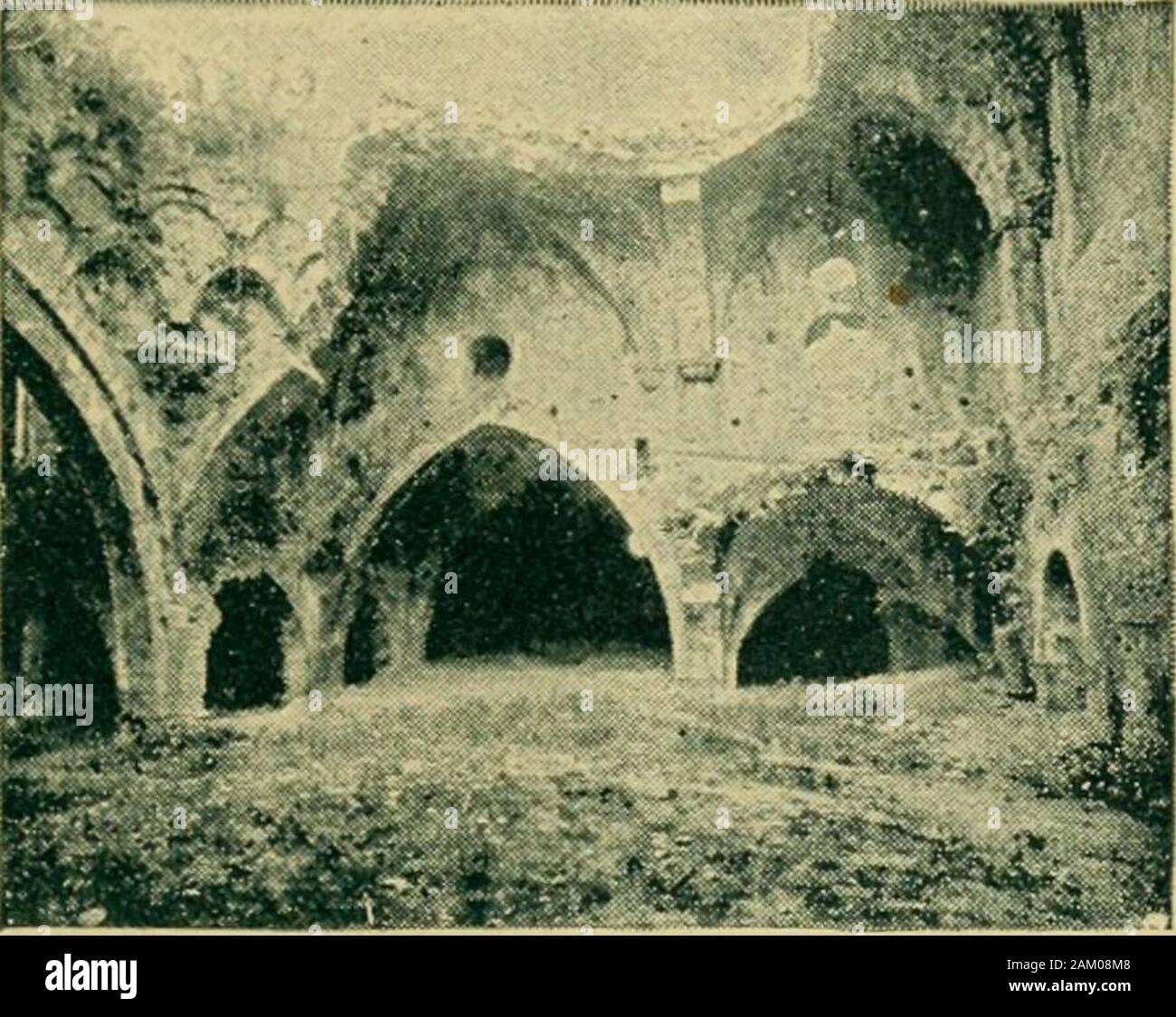 Scylla monster hi-res stock photography and images - Alamy