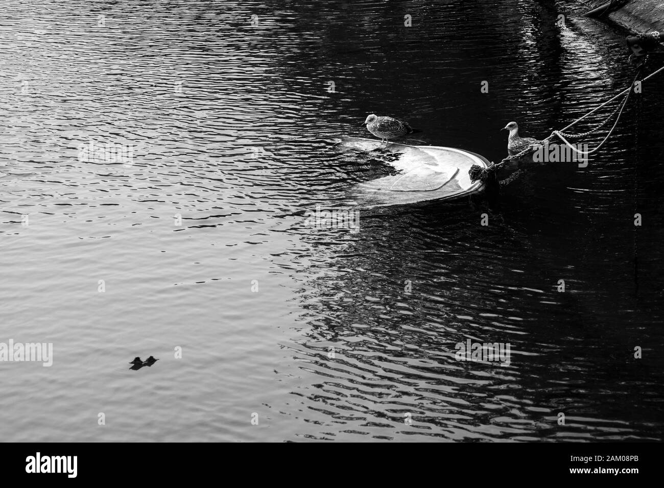Mediterranean scene shore sea Black and White Stock Photos & Images - Alamy