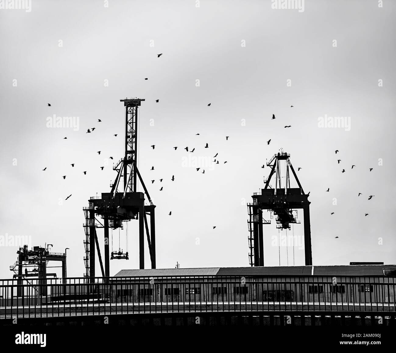 Ship cargo loading dock silhouette Stock Photo - Alamy