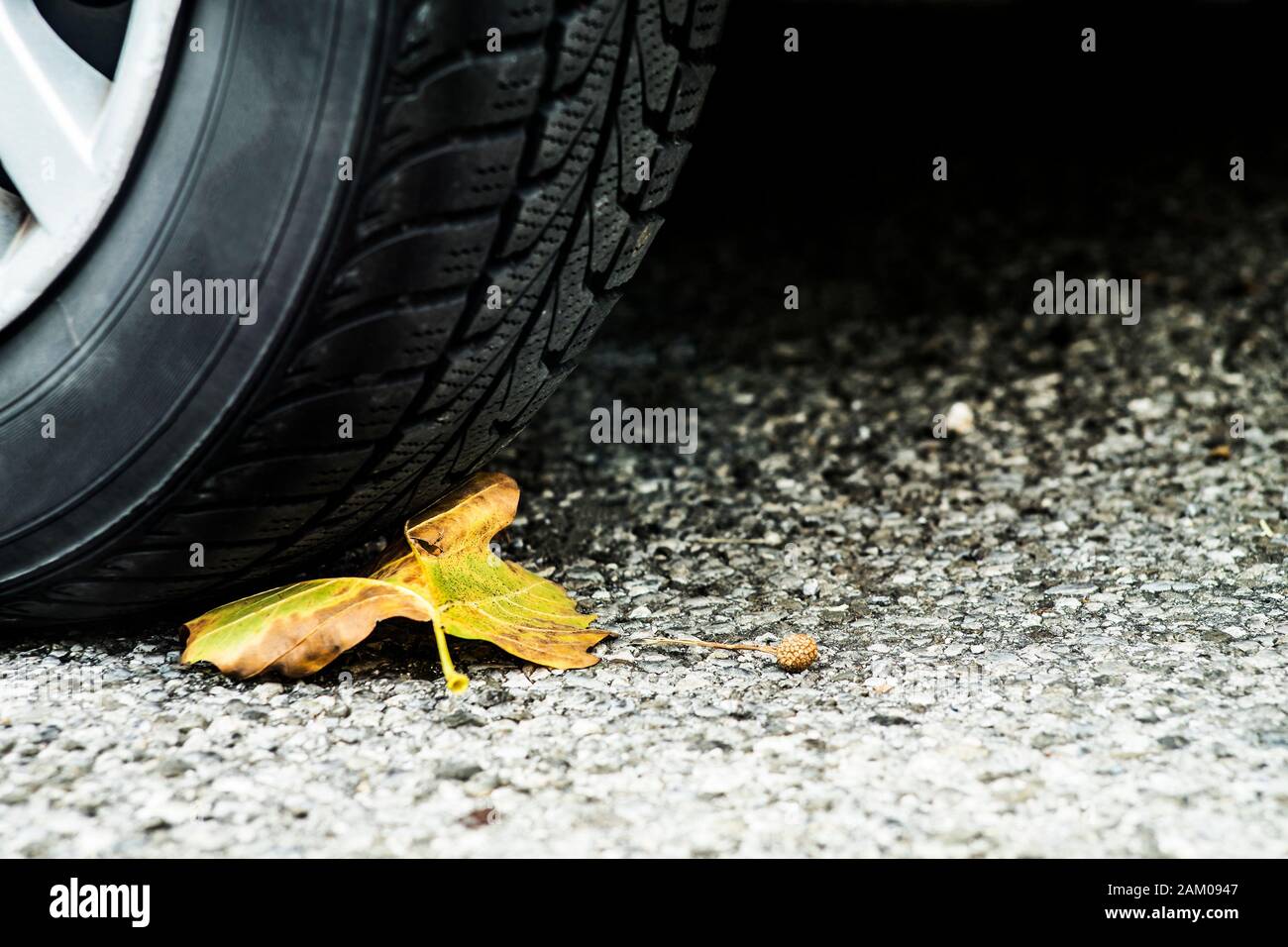 Car tire with a tree leaf underneath symbolizing transport industry ...