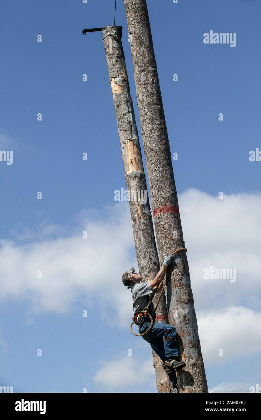 Tree climb climbing lumberjack hi-res stock photography and images - Alamy