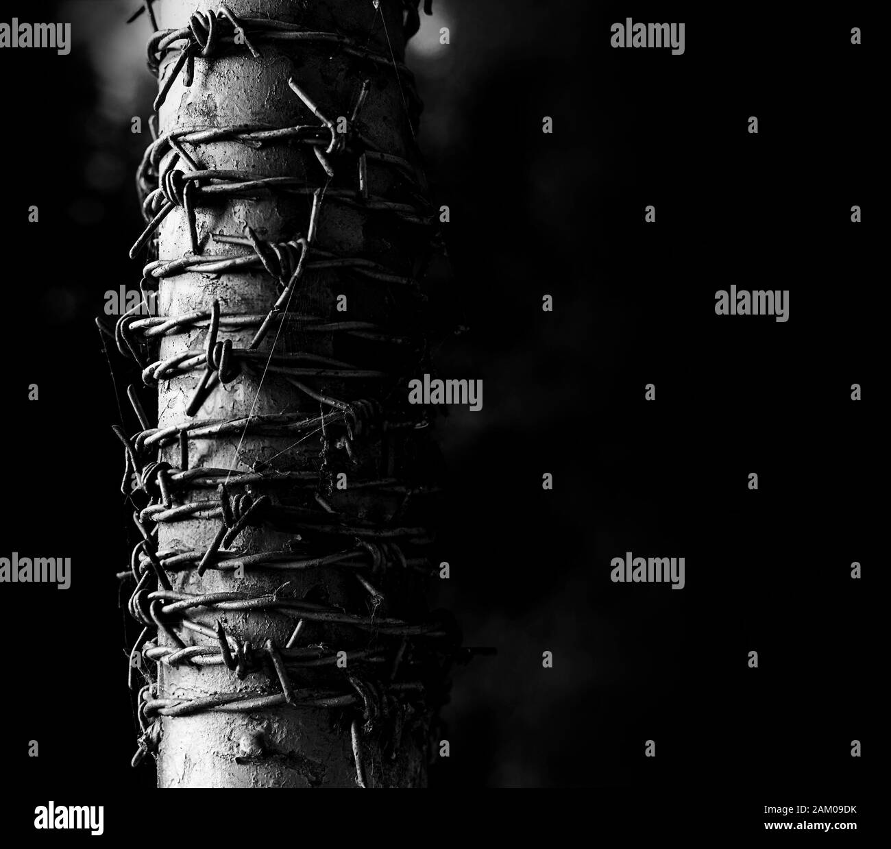 Barbed wire wrapped around a pole hi-res stock photography and images ...