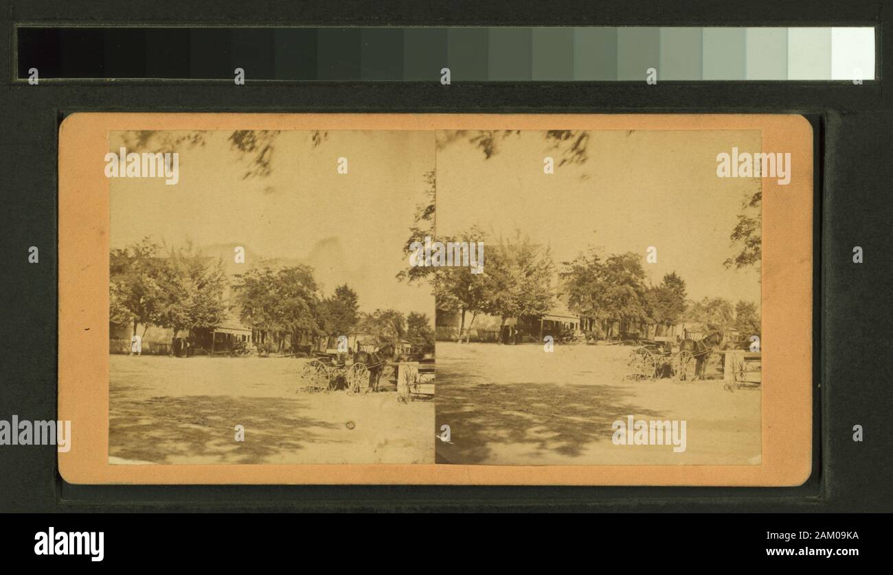 Vintage horse buggy trees hi-res stock photography and images - Alamy