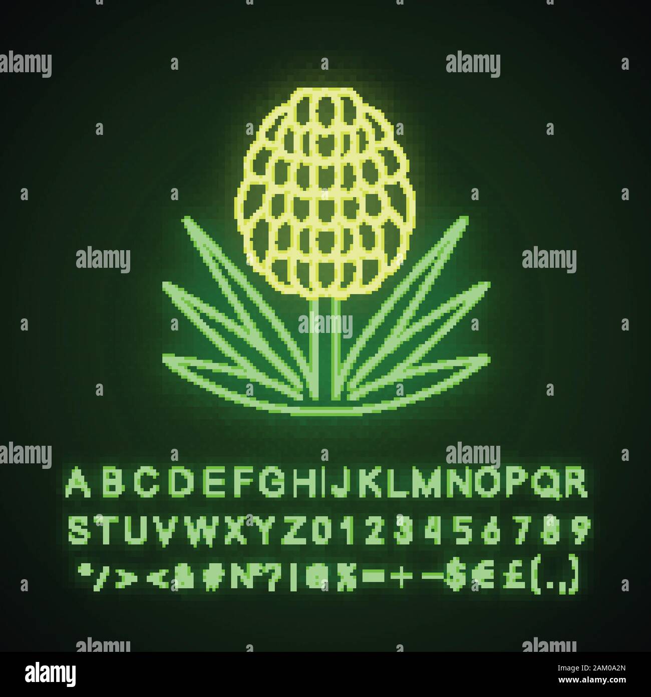 Yucca neon light icon. Exotic plant in blossom. Hyacinth. Glowing sign ...