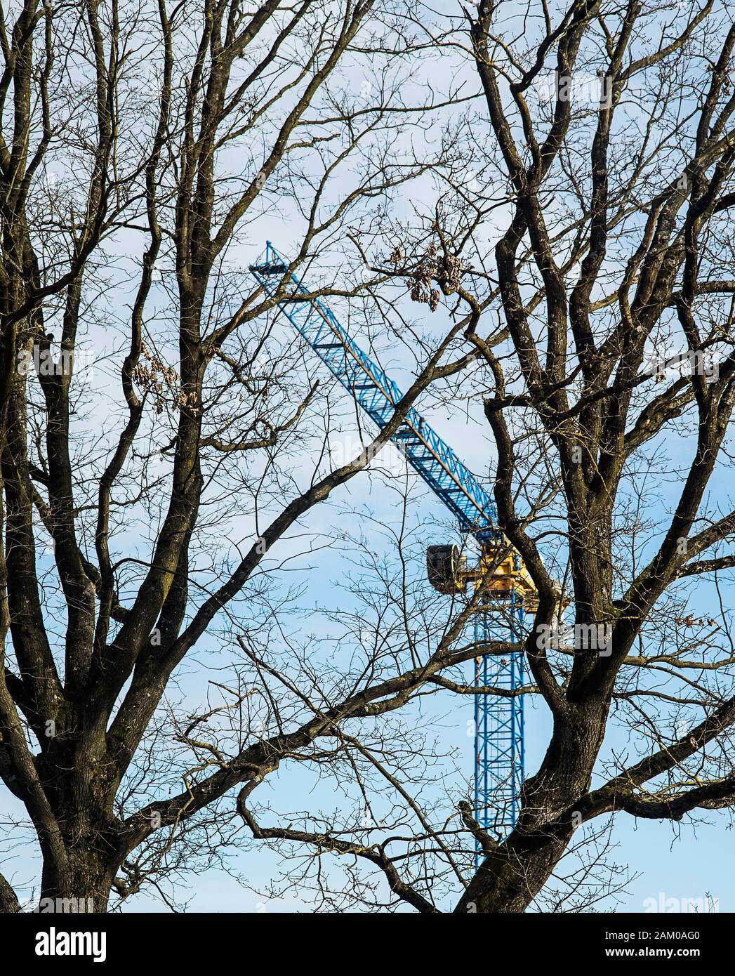Heavy construction crane with trees infront and a small trees Stock ...