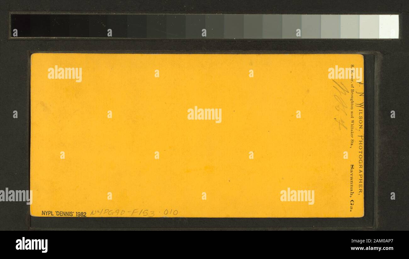 Studio photograph of an alligator on table Studio photograph of an ...