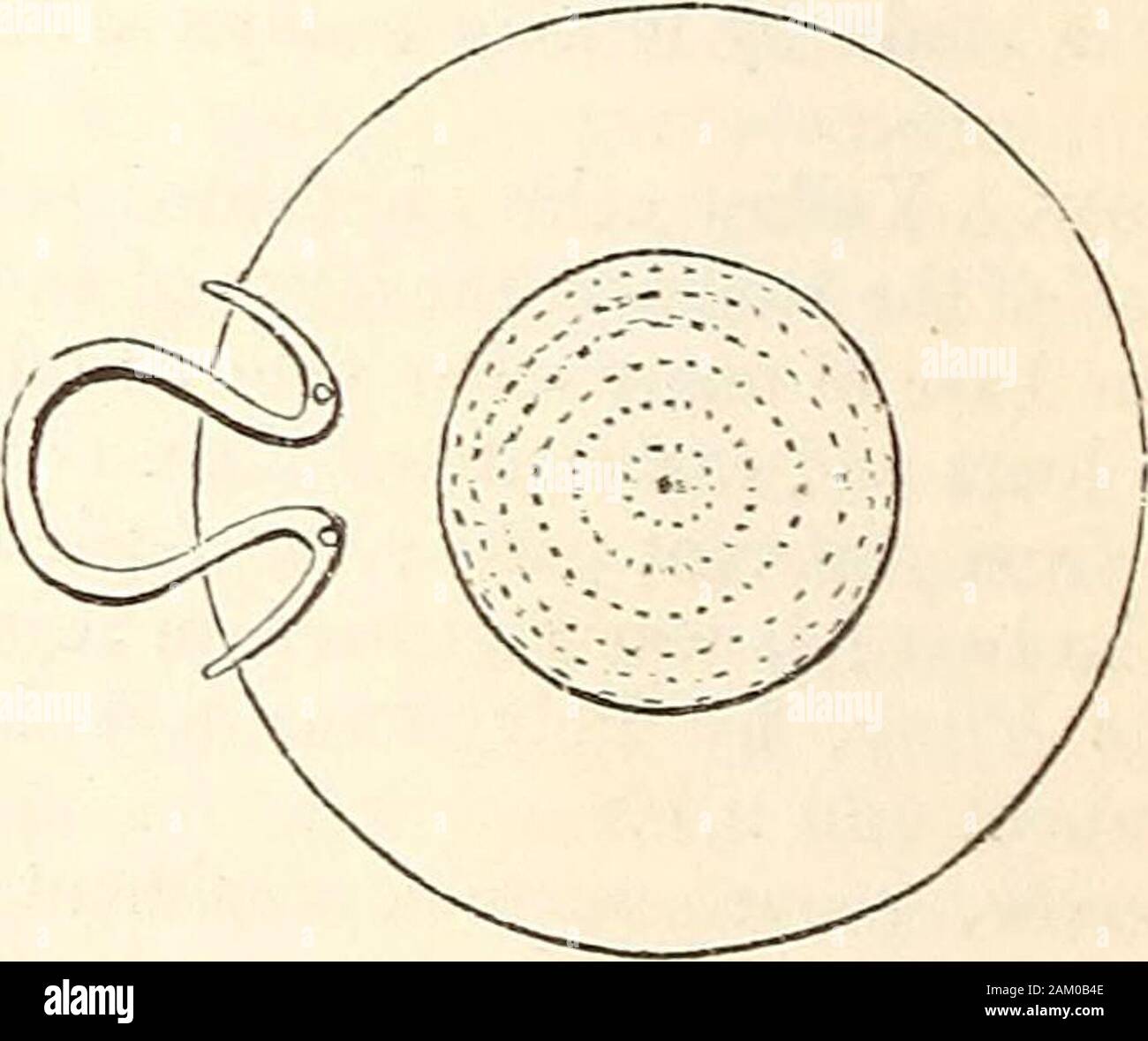 Height 110 feet hi-res stock photography and images - Alamy