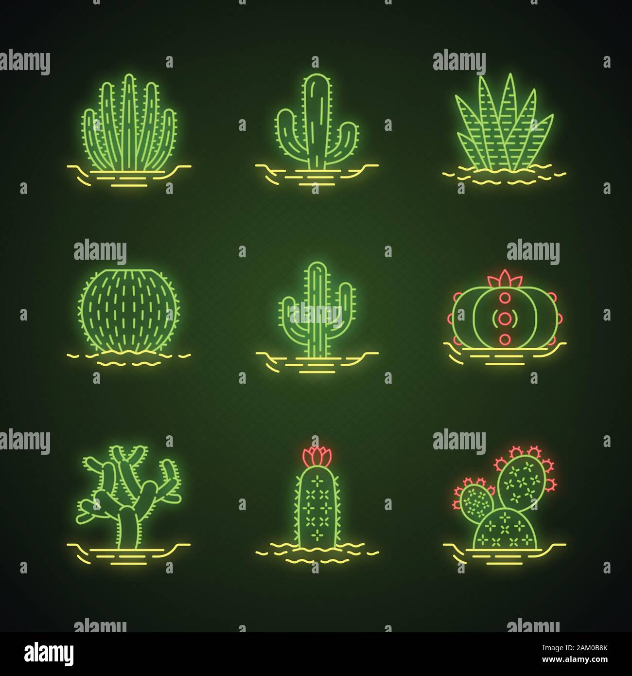 Wild cactuses in ground neon light icons set. Mexican tropical flora ...