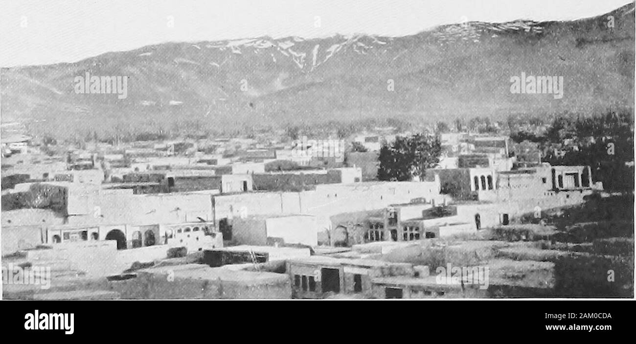 Amud skull hi-res stock photography and images - Alamy