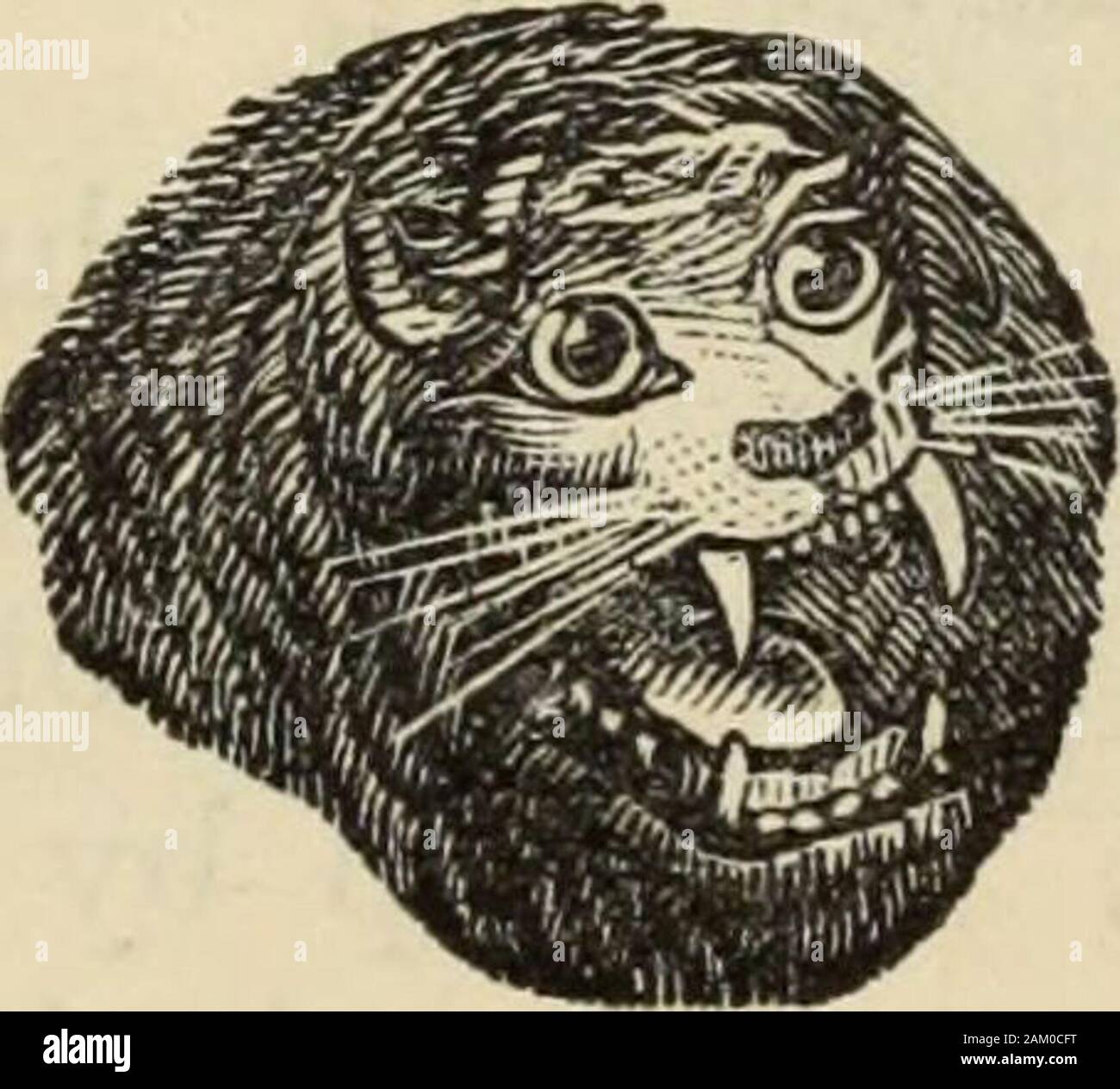 Areligious hi-res stock photography and images - Alamy