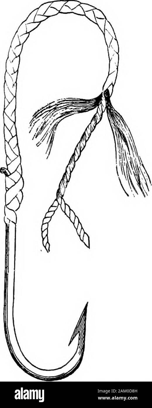 Ten hooks Black and White Stock Photos & Images - Alamy