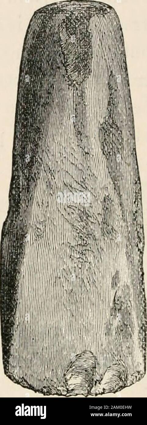 Quern stones scottish hi-res stock photography and images - Alamy