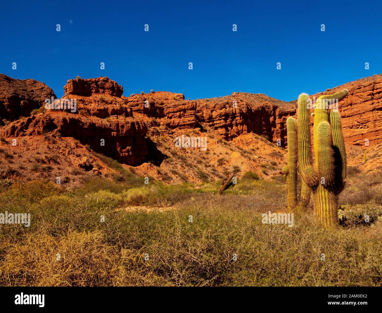 Landscape of the puna desert hi-res stock photography and images - Alamy