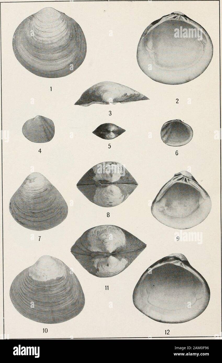Parasitological museum hi-res stock photography and images - Alamy