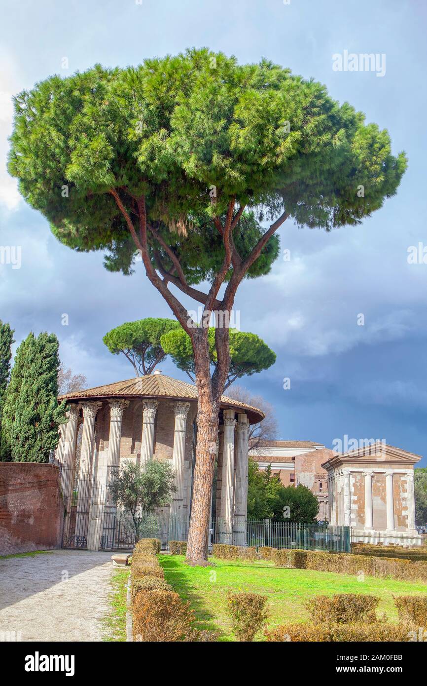 ancient buildings with columns in Rome Stock Photo - Alamy