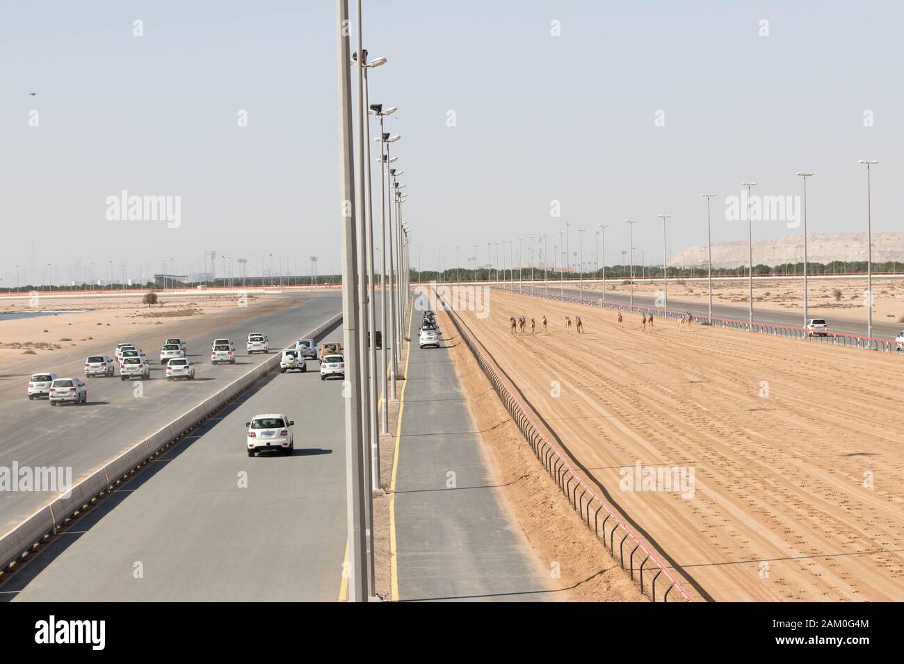 Camel Racing Dubai Al Marmoom race tack UAE Dubai November 2019 Stock ...