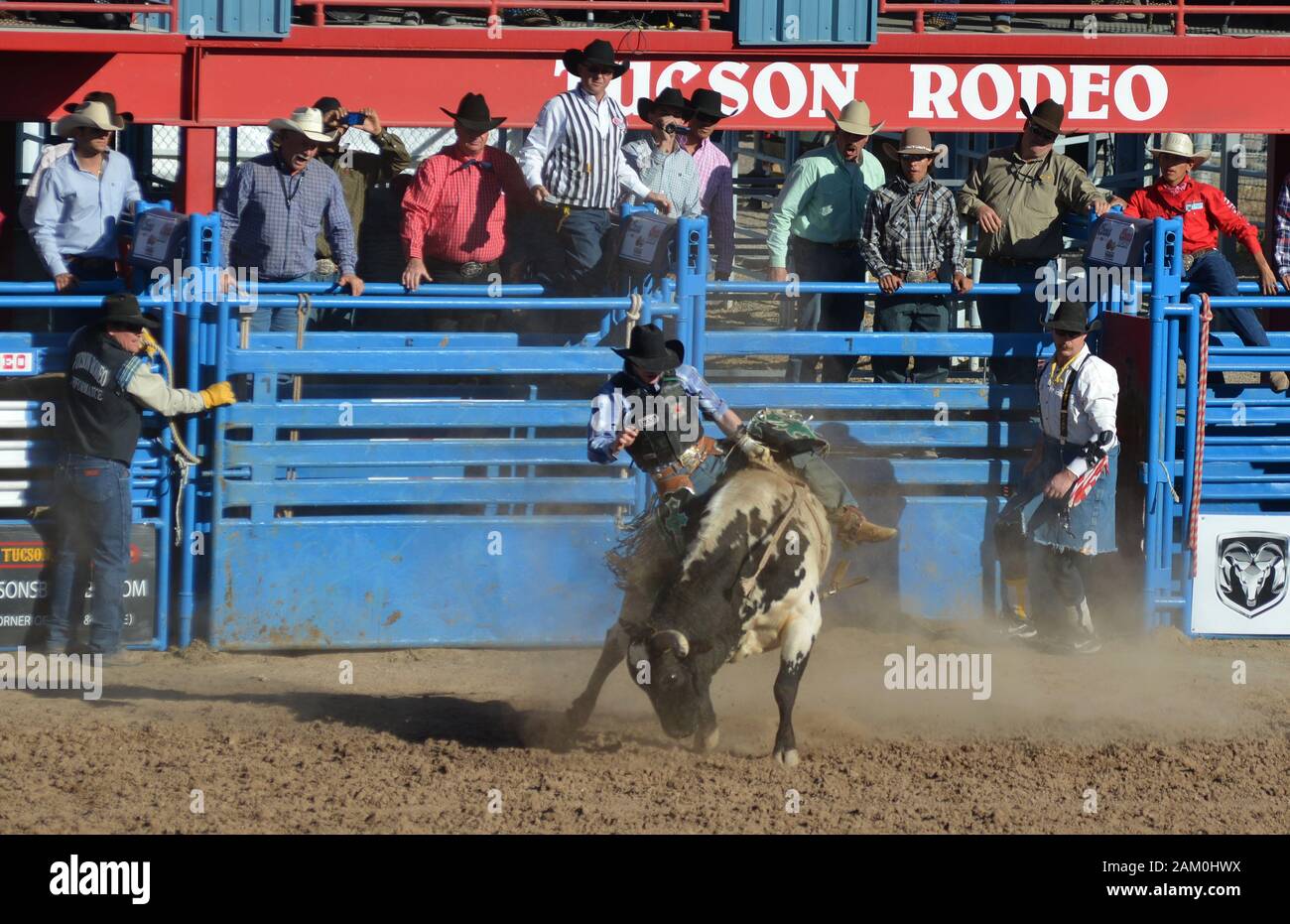 Tucson Rodeo 0286 Stock Photo - Alamy