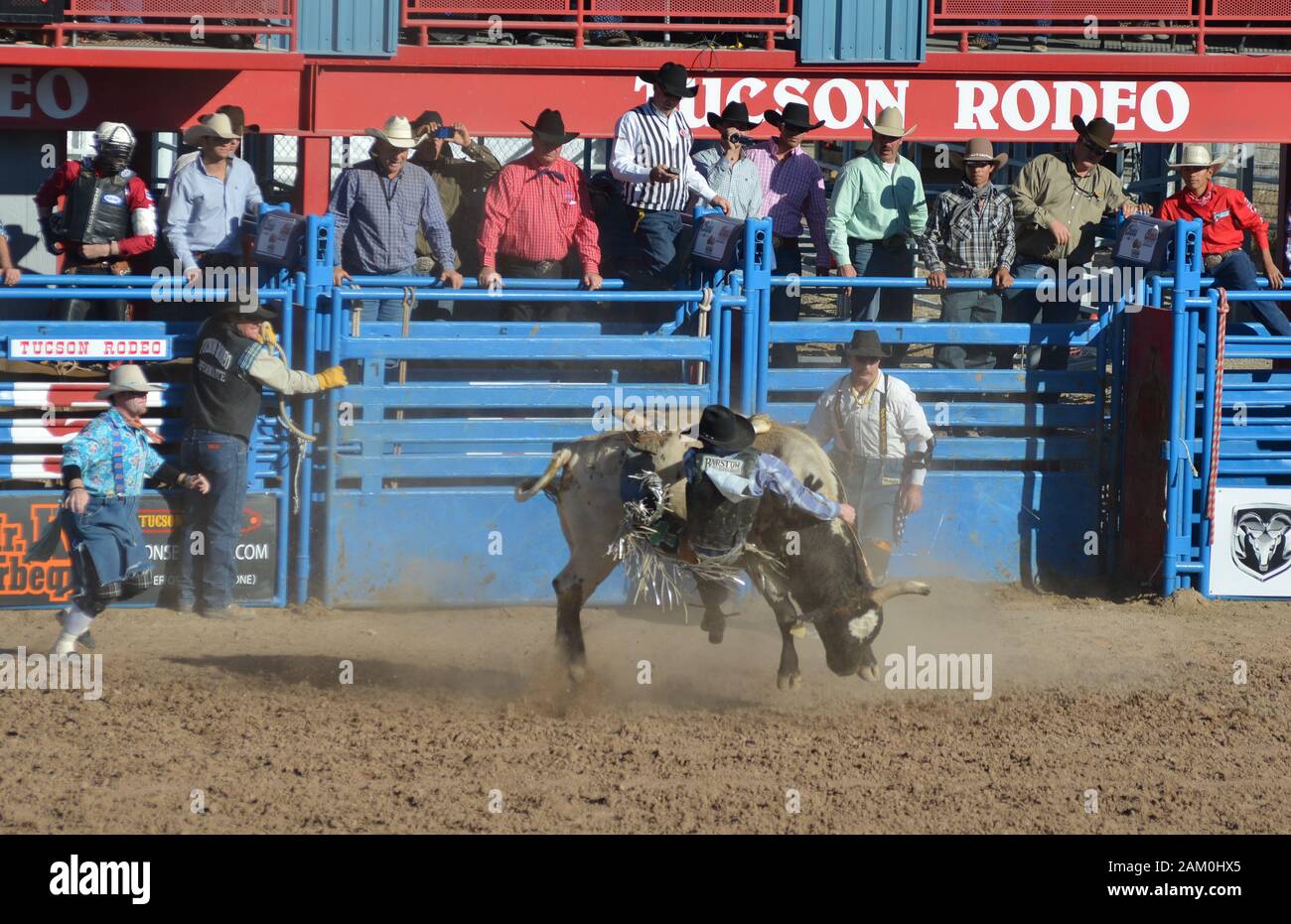 Tucson rodeo hi-res stock photography and images - Alamy
