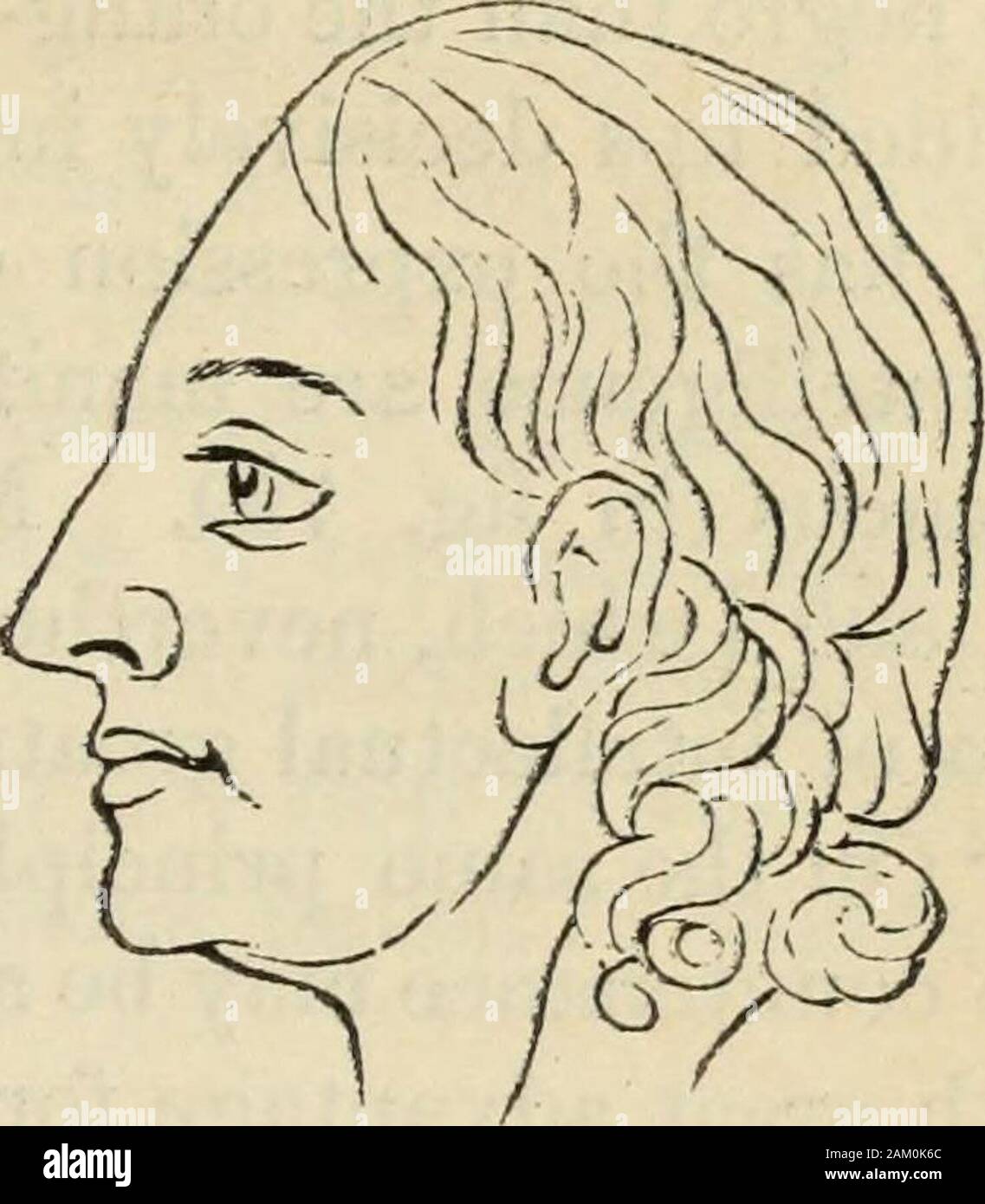 New Physiognomy : or signs of character, as manifested through ...