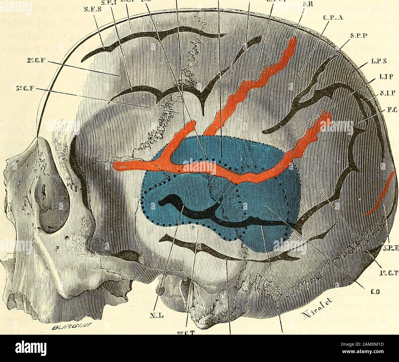 Plan temporal hi-res stock photography and images - Alamy
