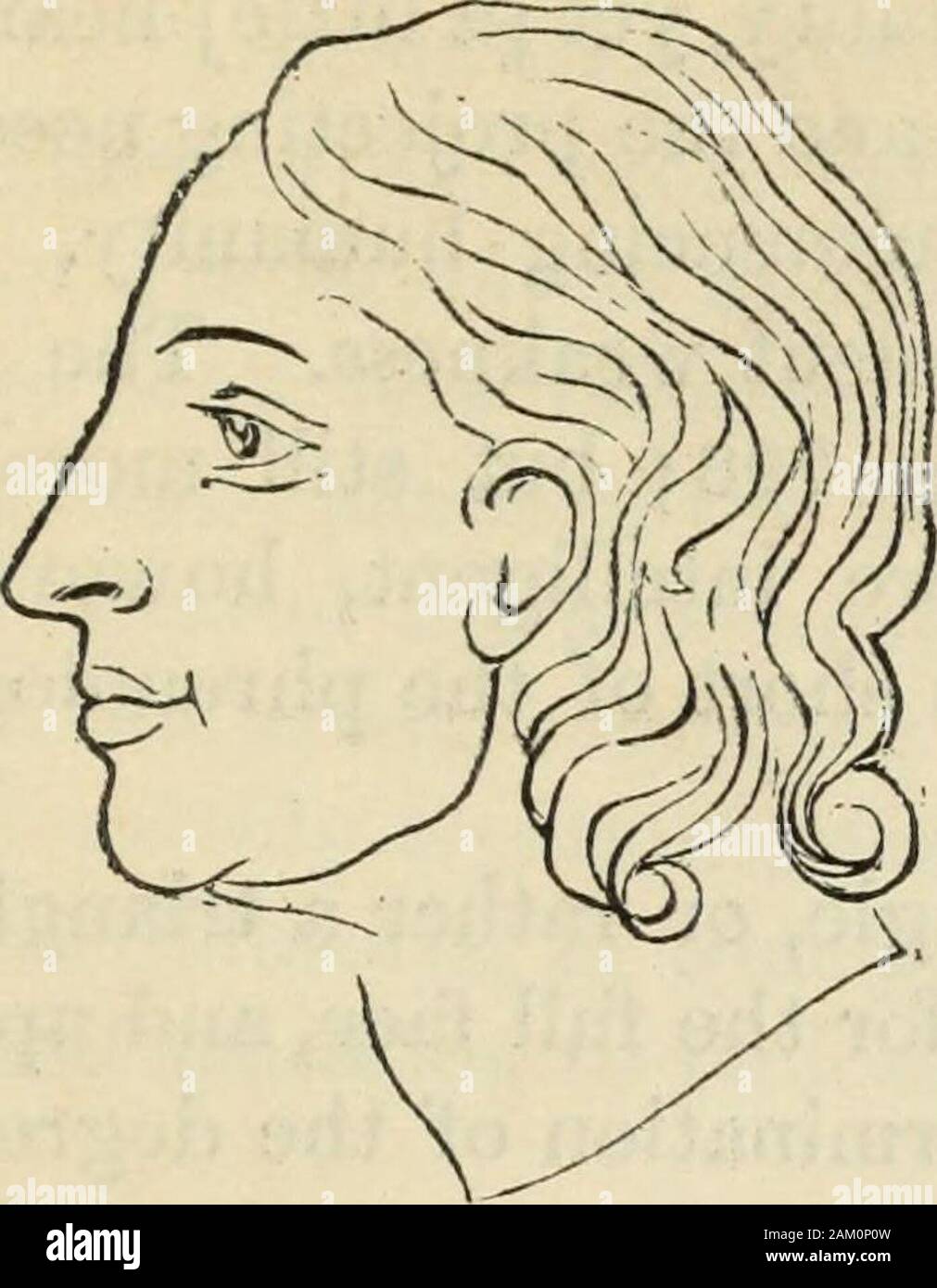 New physiognomy signs character manifested hi-res stock photography and ...