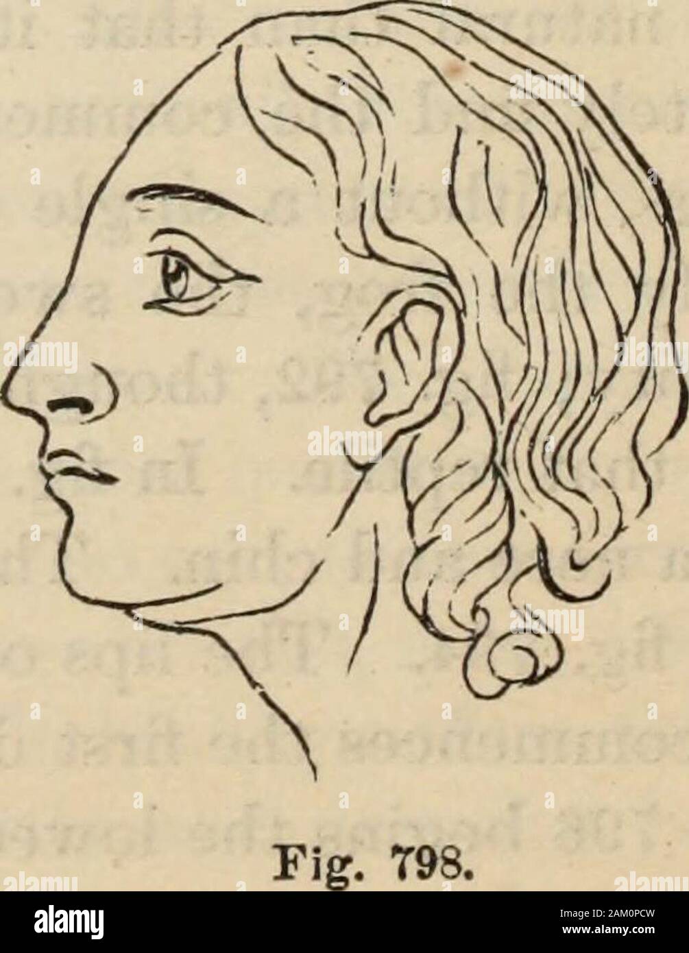 New physiognomy signs character manifested hi-res stock photography and ...