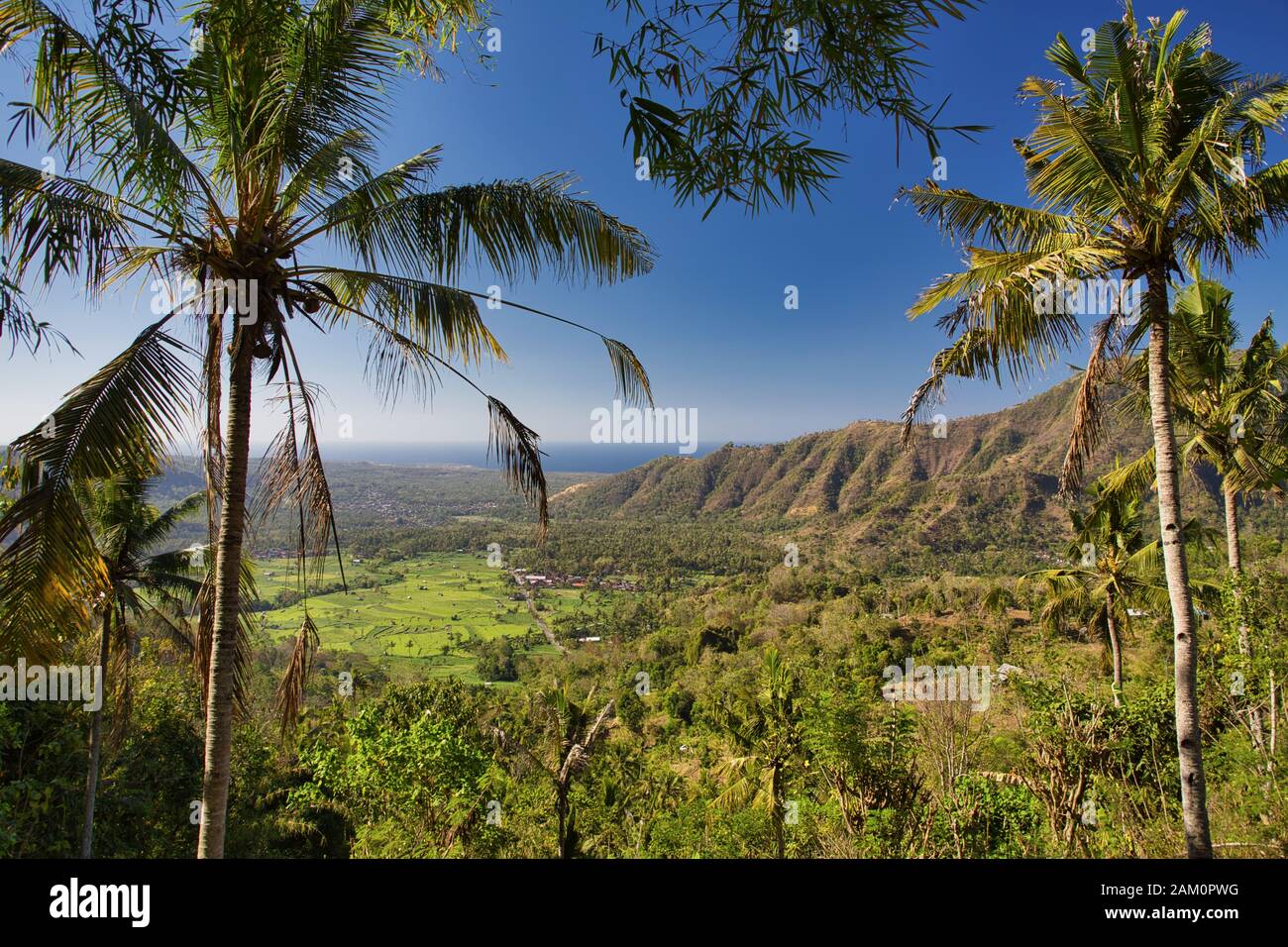 Rice mandala hi-res stock photography and images - Alamy