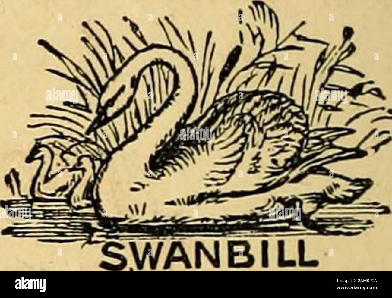 Embonpoint hi-res stock photography and images - Alamy