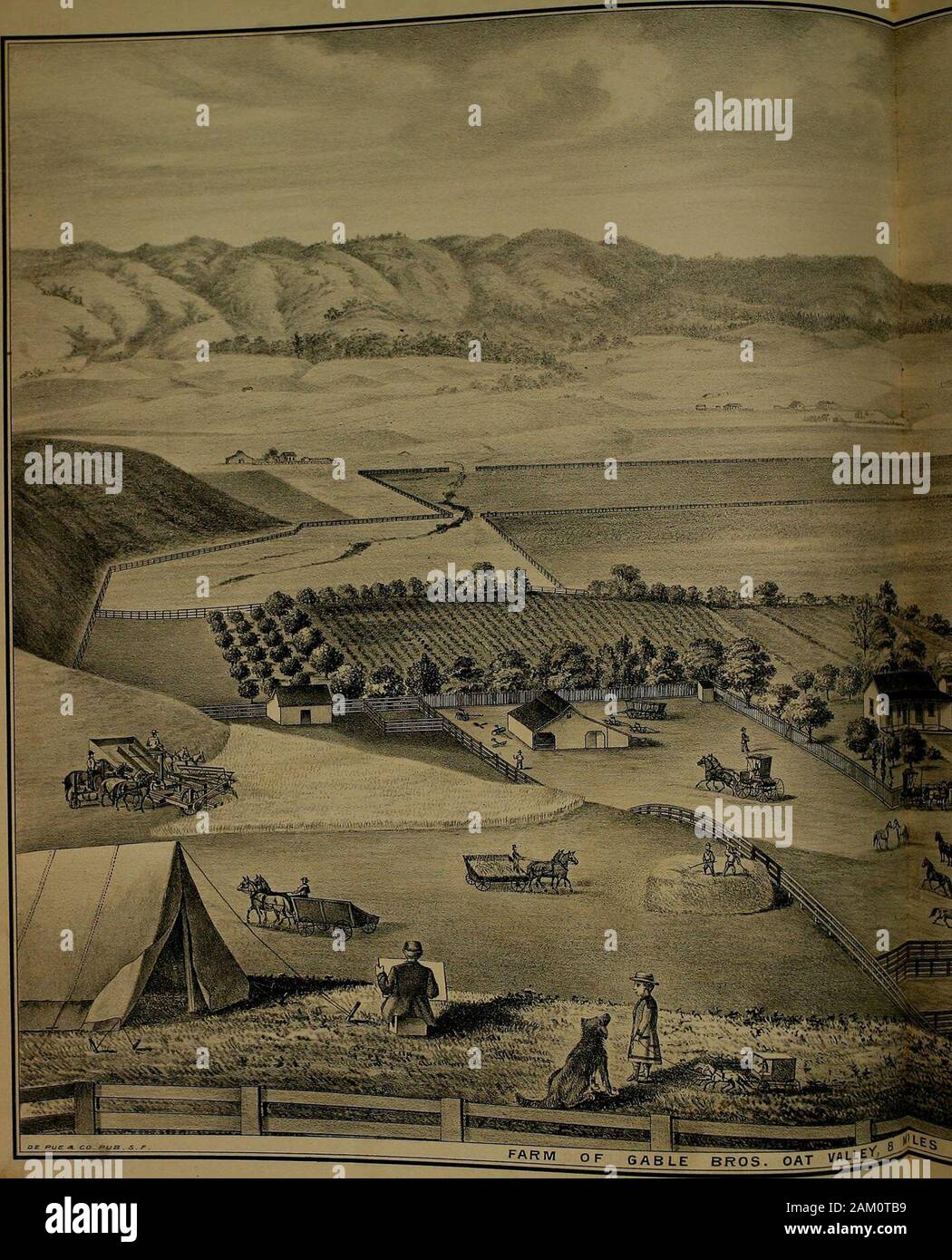 California 1850 judge hi-res stock photography and images - Alamy