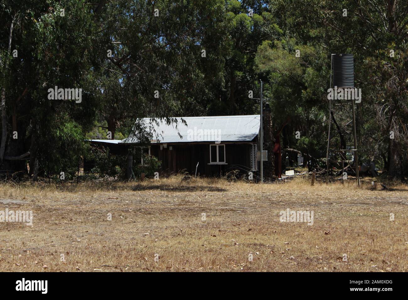Australian bushland hi-res stock photography and images - Alamy