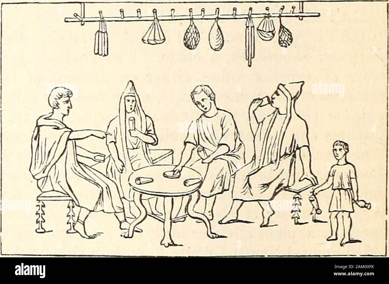 Popinae hi-res stock photography and images - Alamy