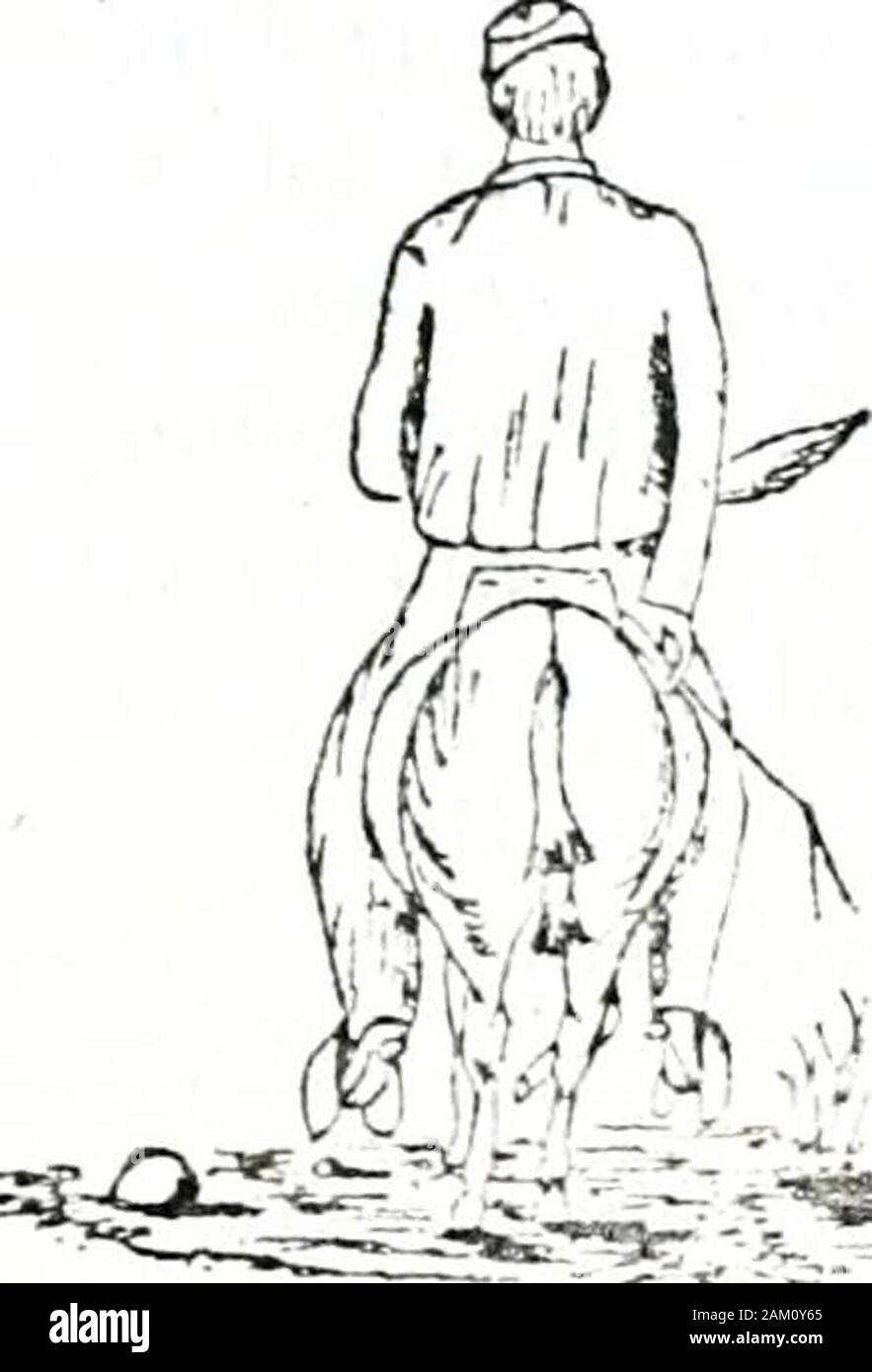 Octol Cut Out Stock Images & Pictures - Alamy