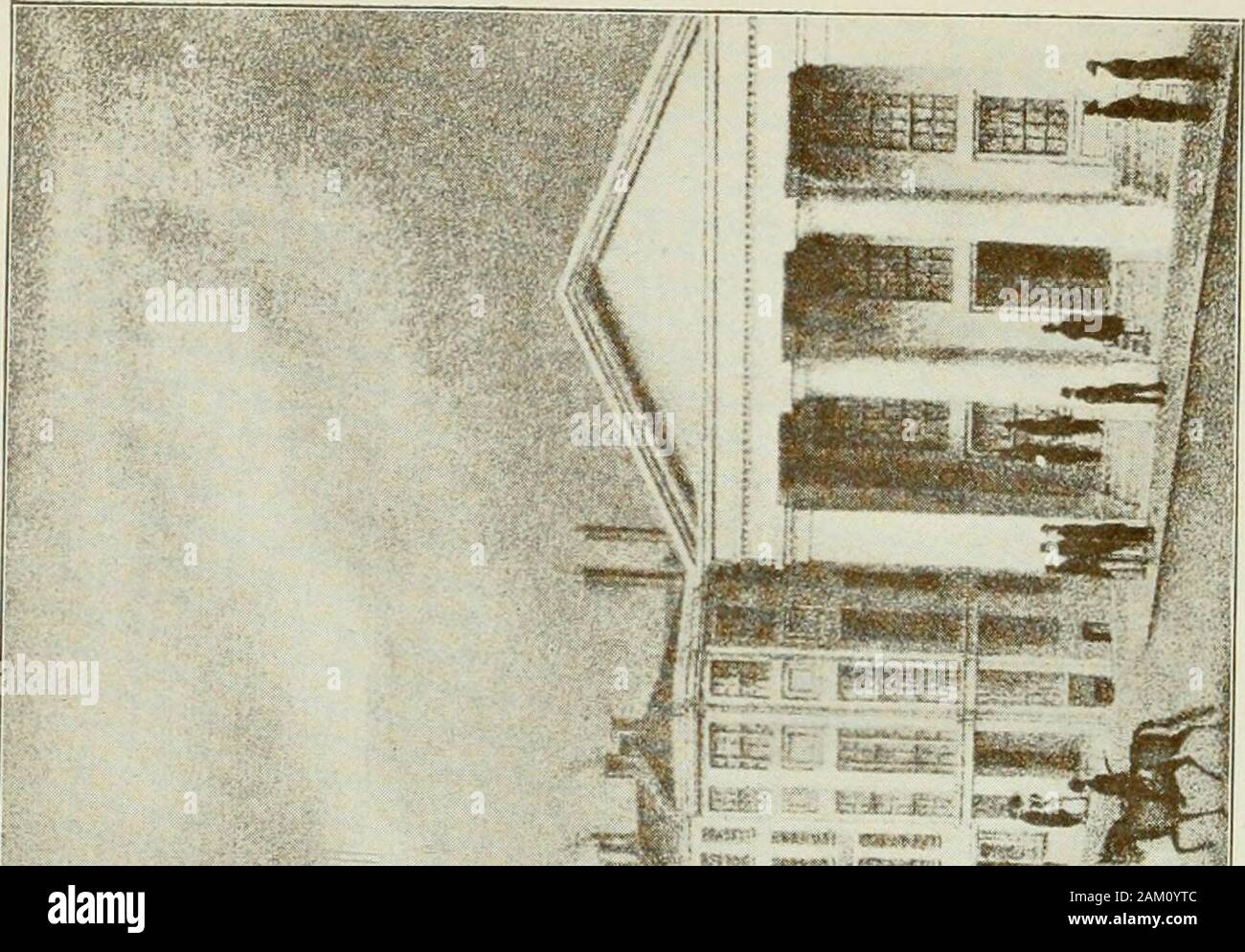 140 days old hi-res stock photography and images - Alamy