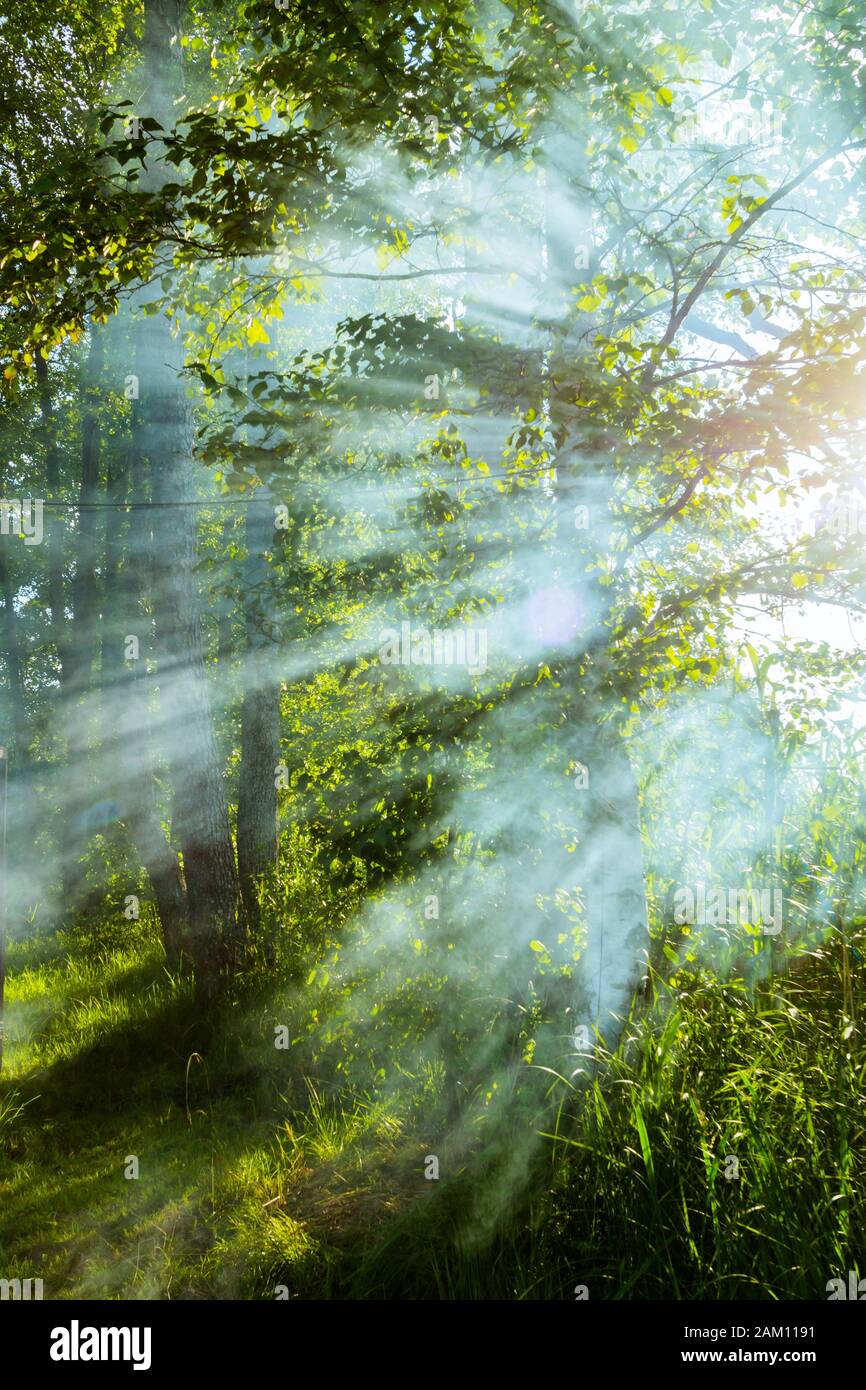 Rays sun in smoke fire hi-res stock photography and images - Alamy
