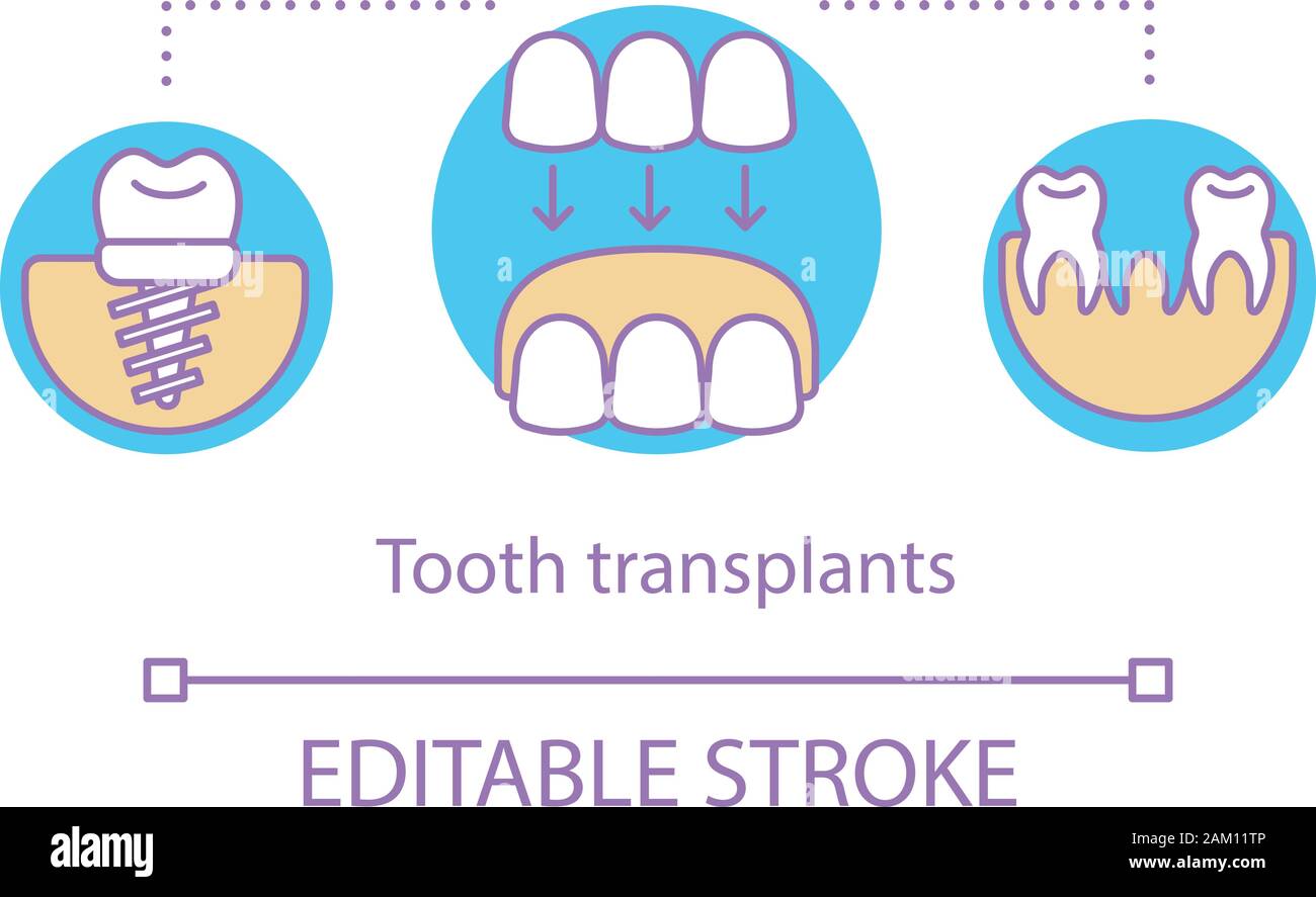 Tooth transplants concept icon. Technology of restorative dentistry ...