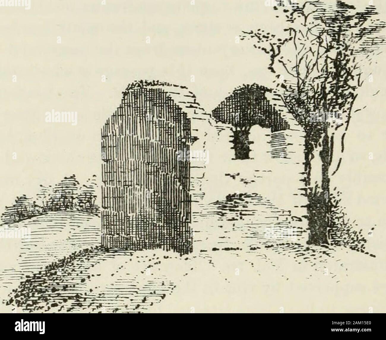 Z plan tower hi-res stock photography and images - Alamy