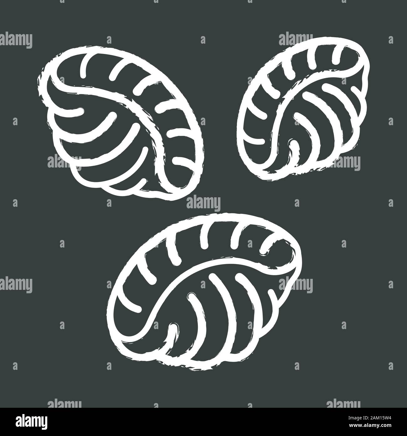 Seashells pasta Stock Vector Images - Alamy