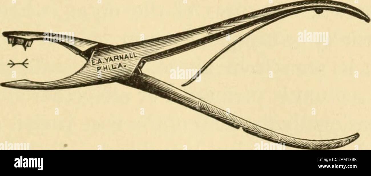 Alinear hi-res stock photography and images - Alamy