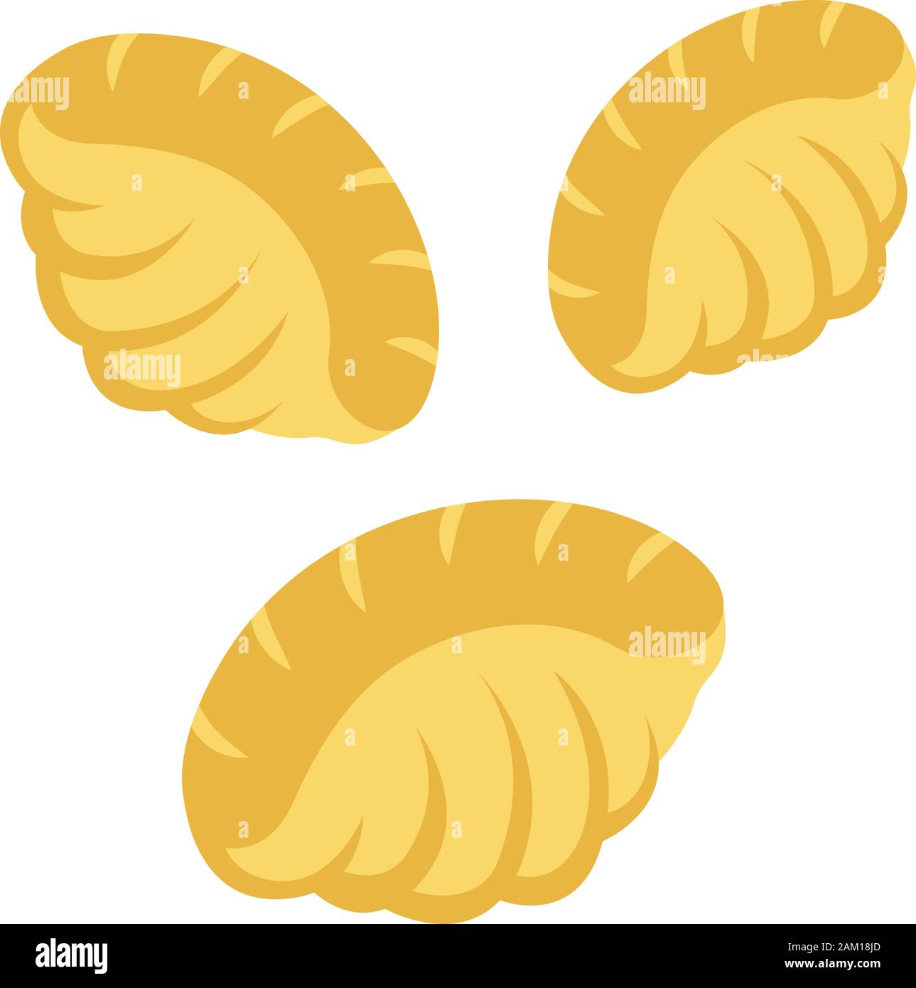 Long shells Stock Vector Images - Alamy