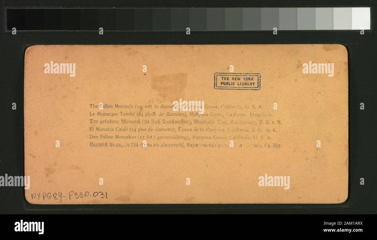 The Fallen Monarch (24 feet in diameter), Mariposa Grove, California, U ...