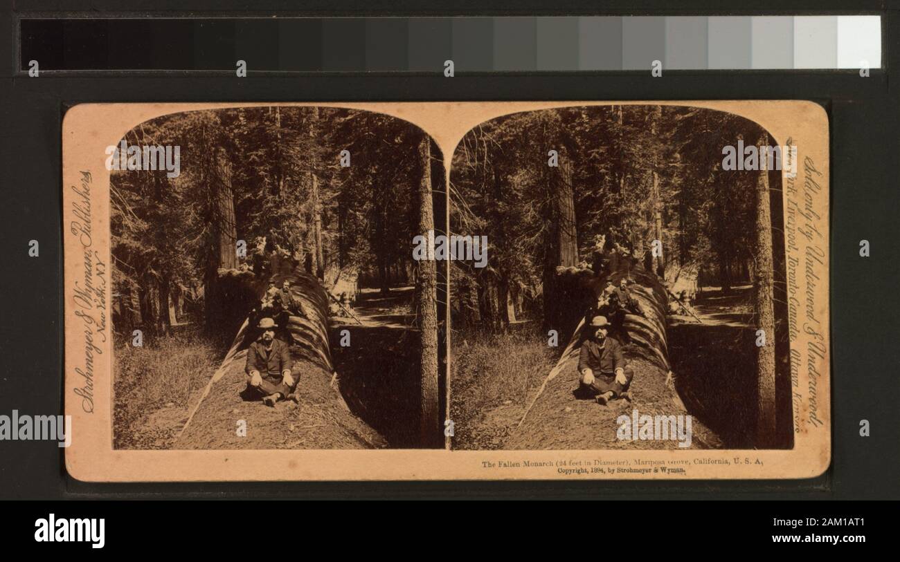 The Fallen Monarch (24 feet in diameter), Mariposa Grove, California, U ...