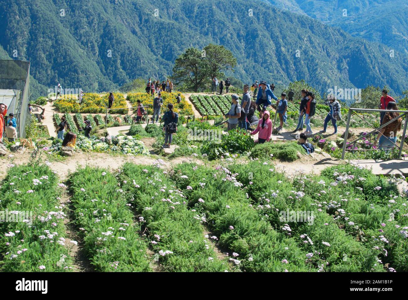 Benguet hi-res stock photography and images - Alamy