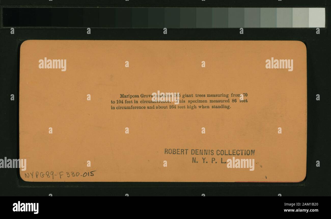 The Fallen Monarch, Mariposa Grove, Yosemite Valley, Cal, U S A The ...