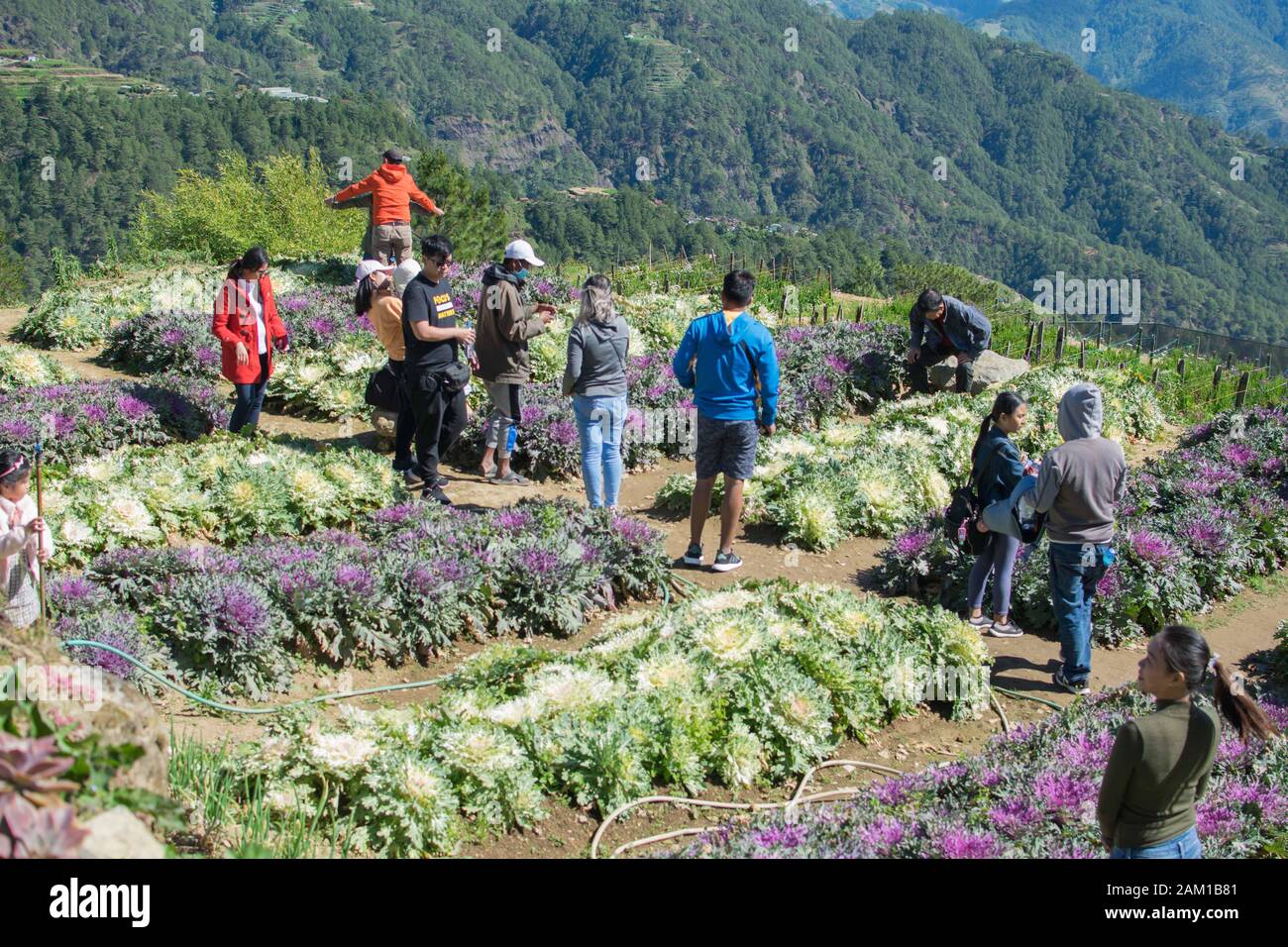 The benguet trail hi-res stock photography and images - Alamy
