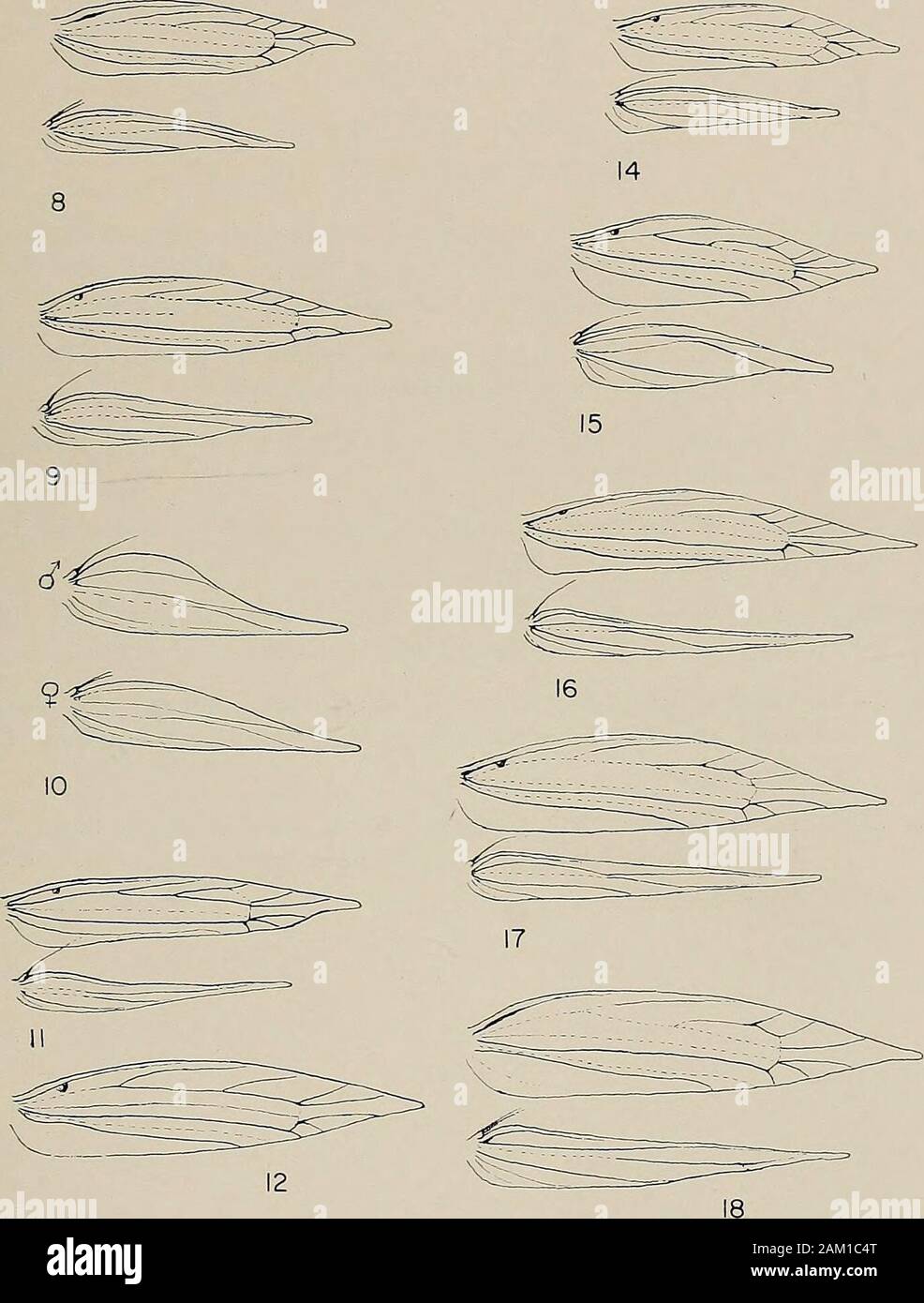 19b 13 hi-res stock photography and images - Alamy