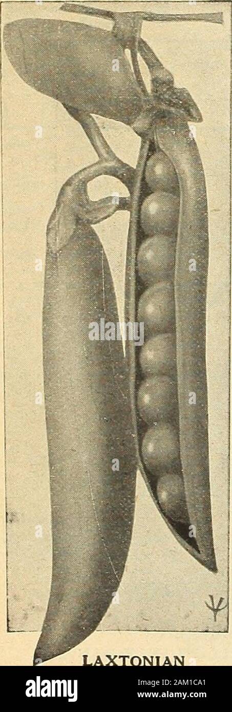 50 011 hi-res stock photography and images - Alamy